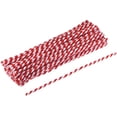 Pipe Cleaners Chenille Stems 30cm/12 Inch for DIY Art Creative Crafts ...