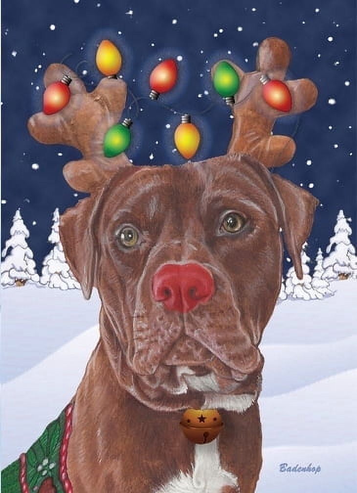 Pipsqueak Productions Pit Bull, Chocolate Labrador Retriever Mix, Boxed ...