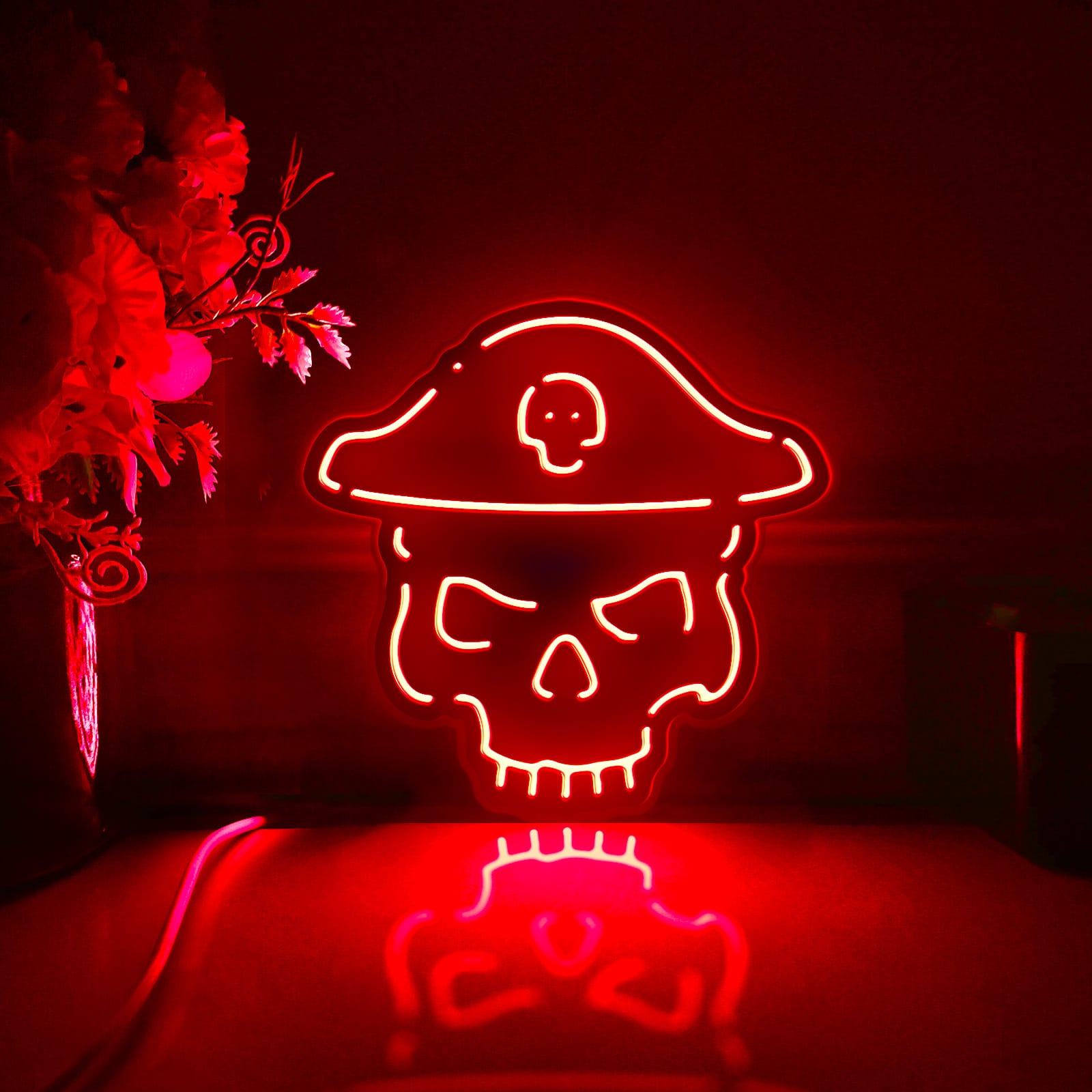 Pirate Roger Led Light Box, Dimmable Neon-Like Light Signs USB Power ...