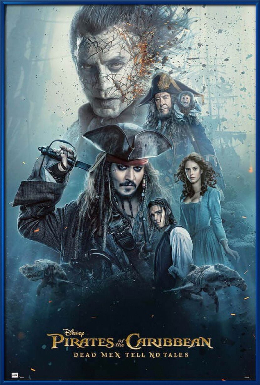 Pirates Movie Poster