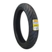 Pirelli Angel ST Sport Touring Motorcycle Tire - 180/55ZR17 Rear, High ...