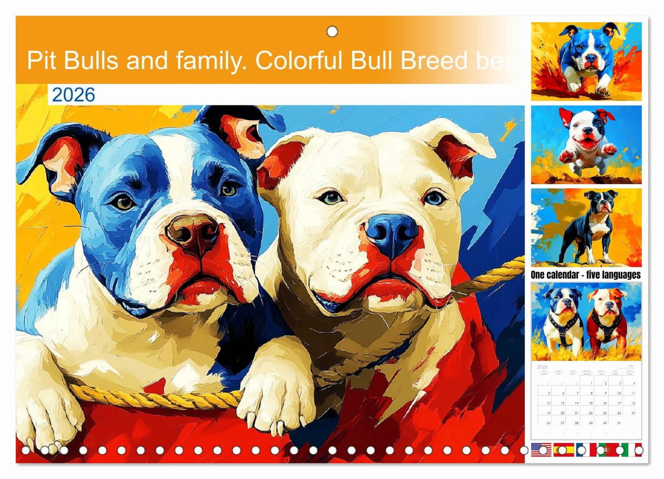 Pit Bulls and family. Colorful Bull Breed beauties (Monthly Wall ...