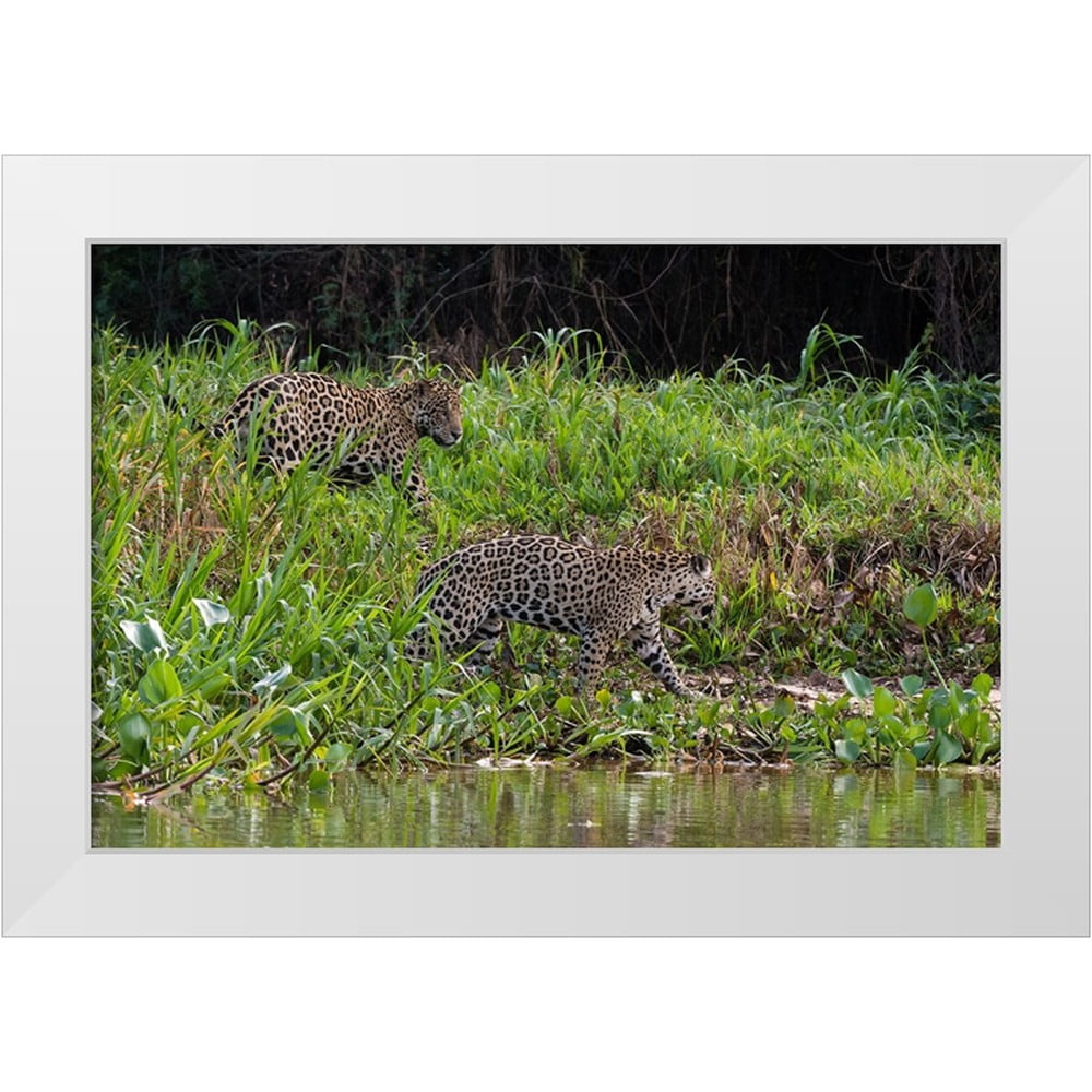Pitamitz, Sergio 18x13 White Modern Wood Framed Museum Art Print Titled ...