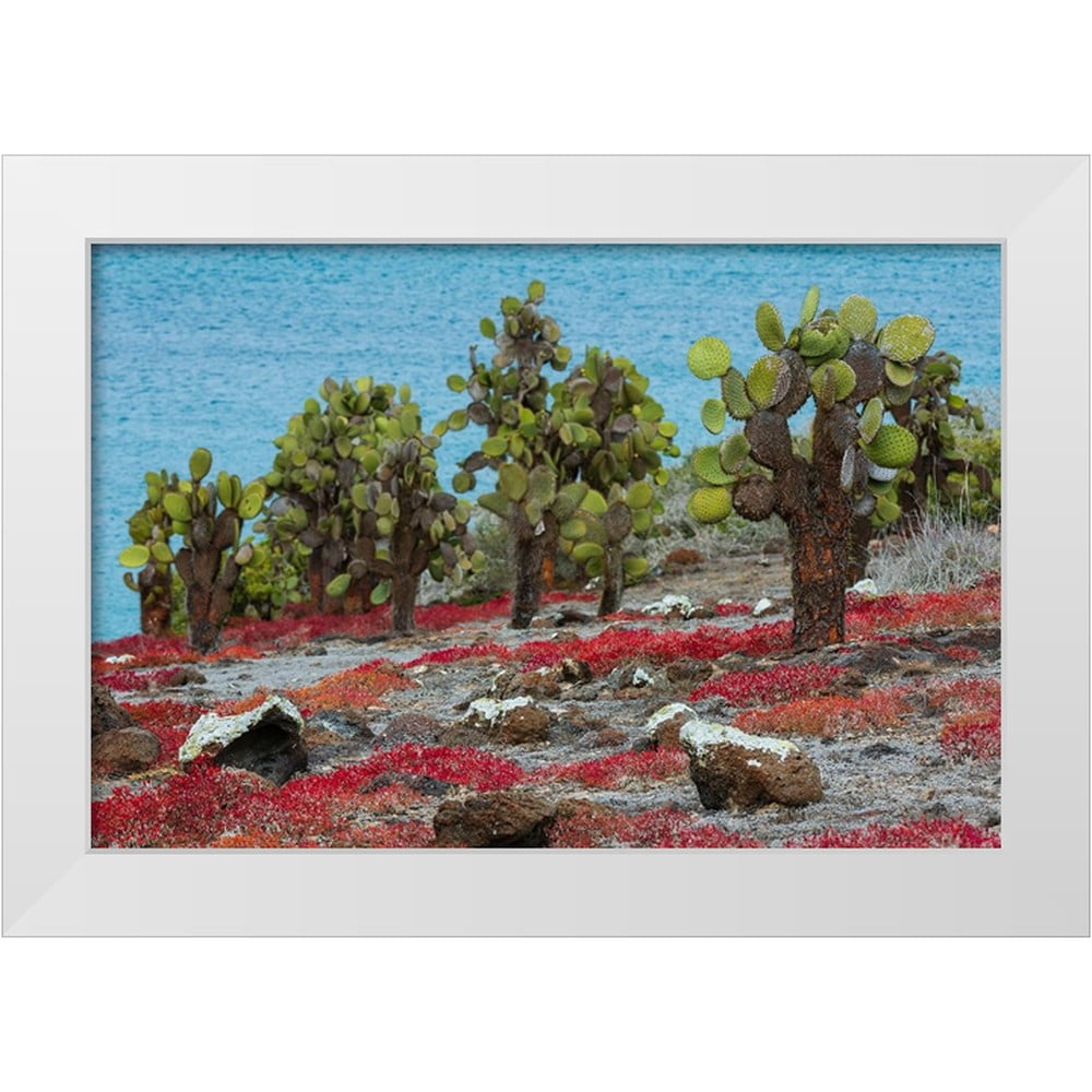 Pitamitz, Sergio 18x13 White Modern Wood Framed Museum Art Print Titled ...