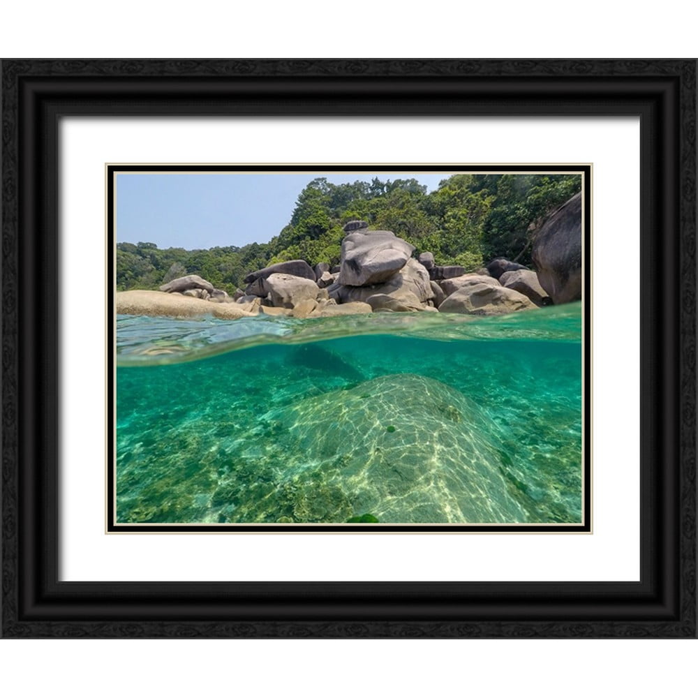 Pitamitz, Sergio 24x19 Black Ornate Wood Framed with Double Matting ...