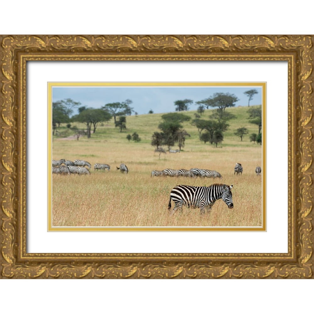 Pitamitz, Sergio 32x23 Gold Ornate Wood Framed with Double Matting ...