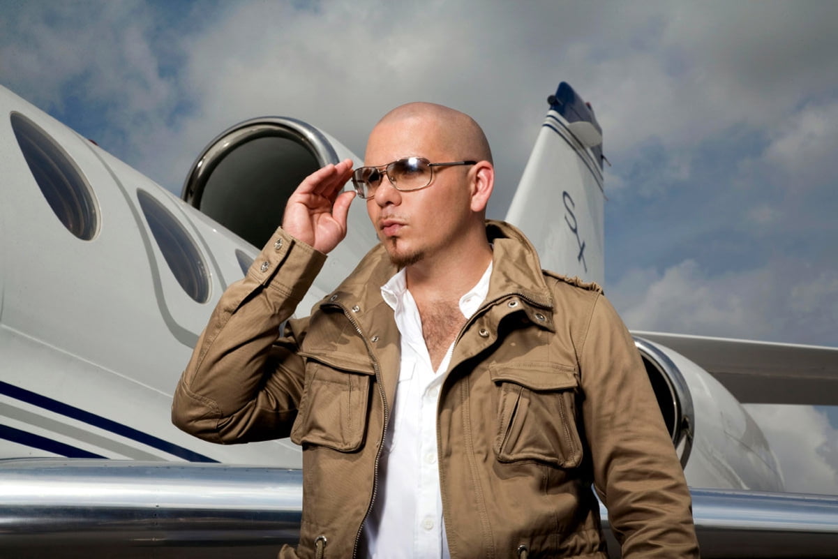 Pitbull Poster Jet Metal Sign 8Inx 12In Metal Art Print 8x12 Multi ...