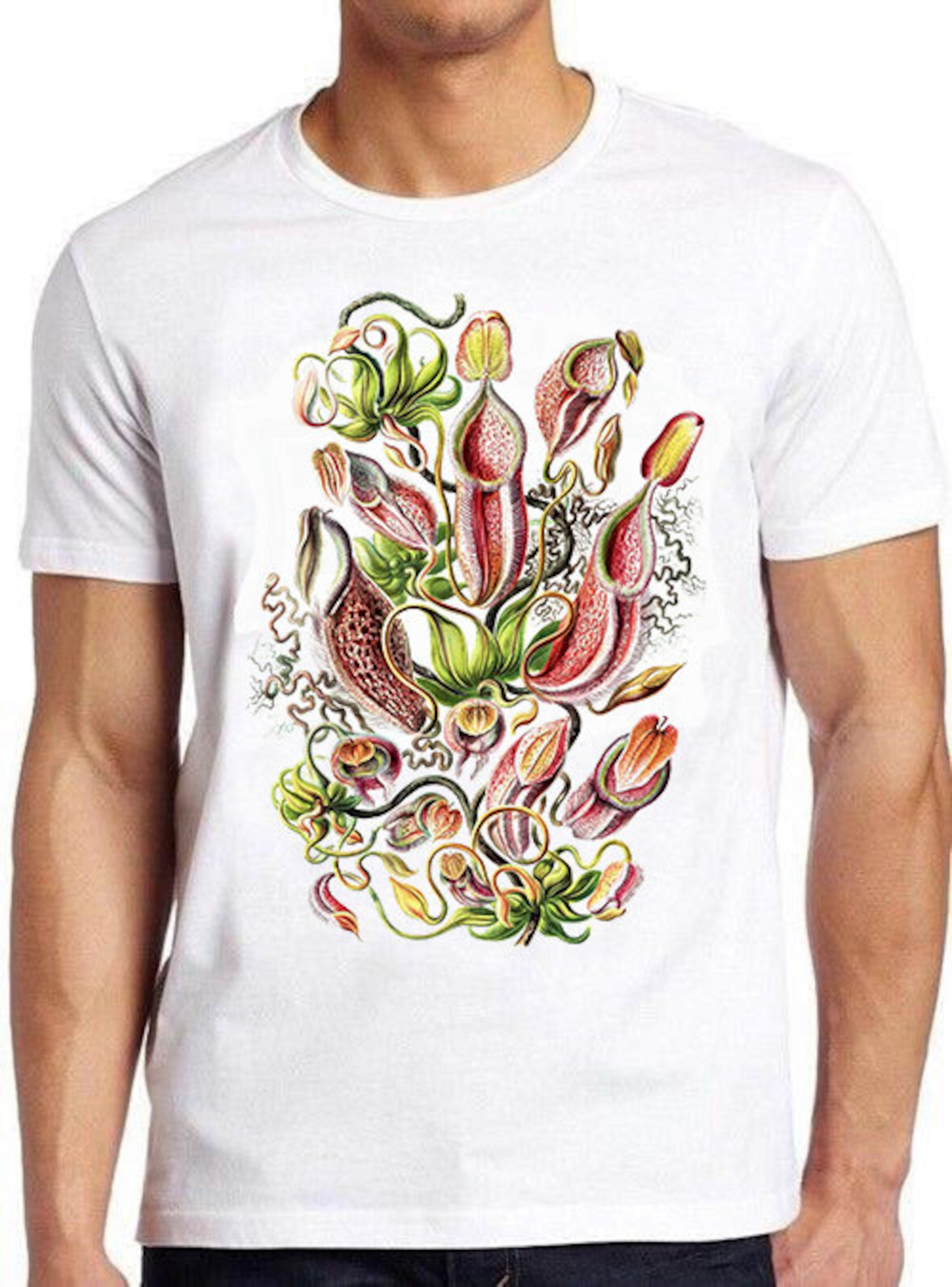 Pitcher Plant Nature Art Drawing Ernst Haeckel Nepenthaceae Meme Gift ...