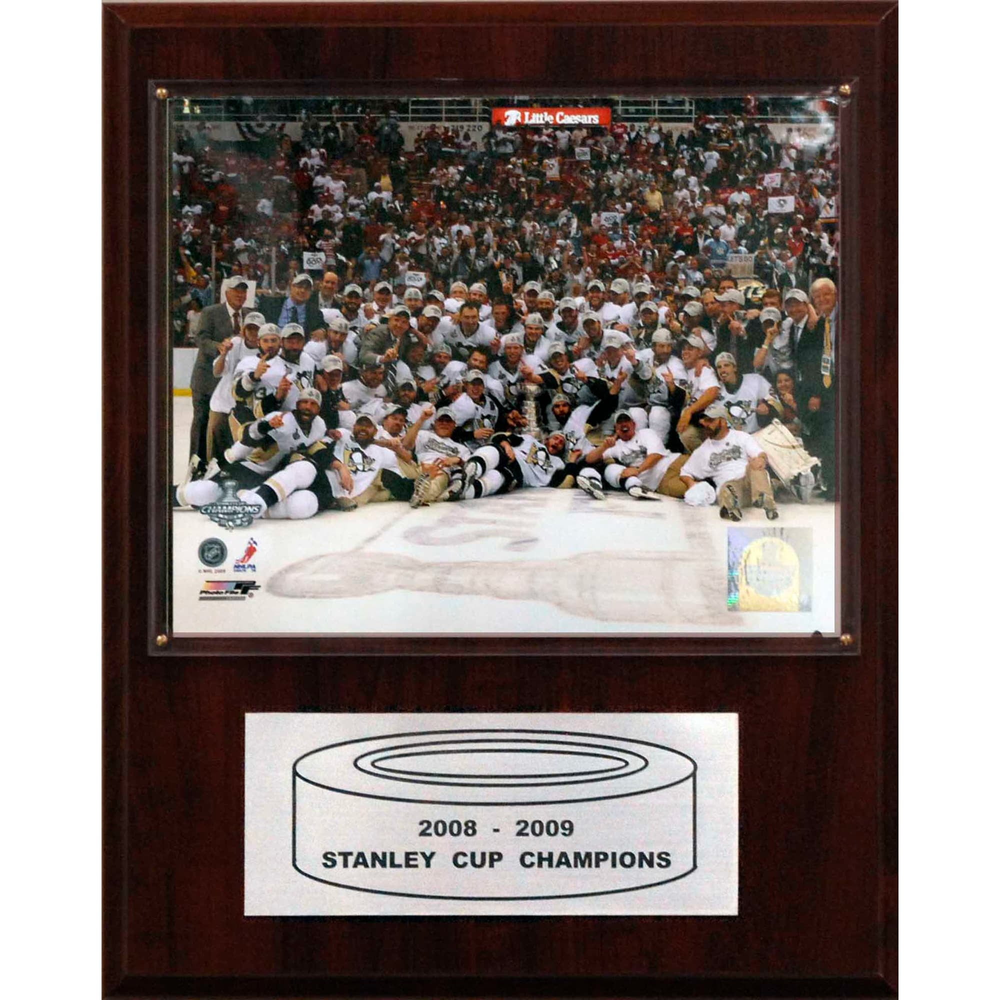 Pittsburgh Penguins 2009 Stanley Cup Champions 12'' x 15'' Team Photo ...