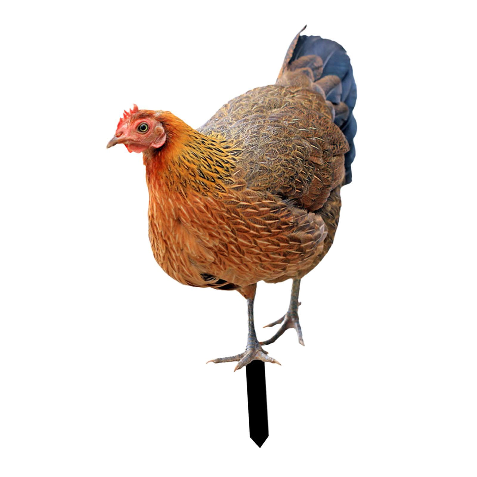 Pitycbo Decorative Hen Garden Stake Realistic Artwork Figure Decoration ...