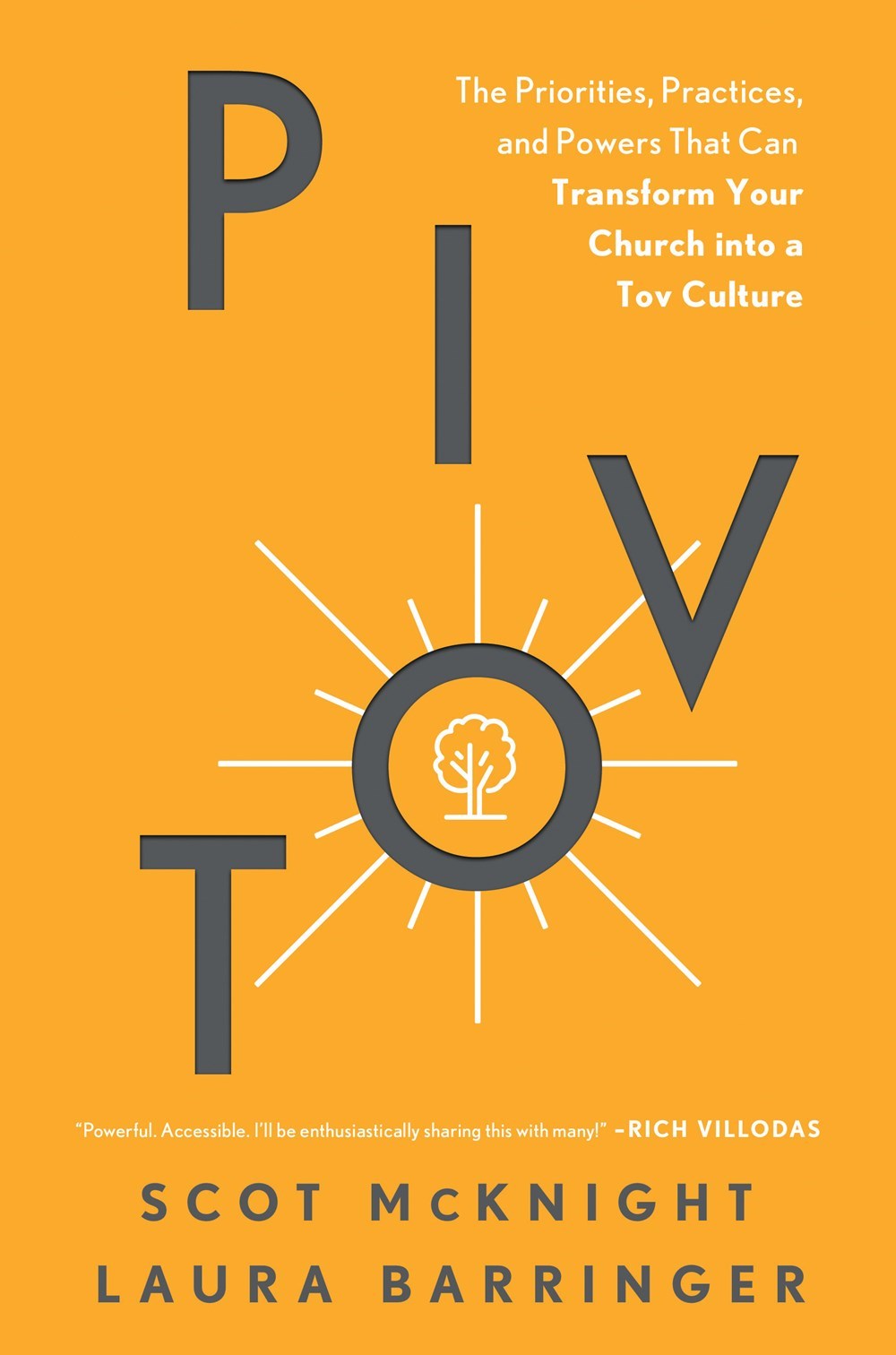 Pivot: The Priorities, Practices, and Powers That Can Transform Your ...