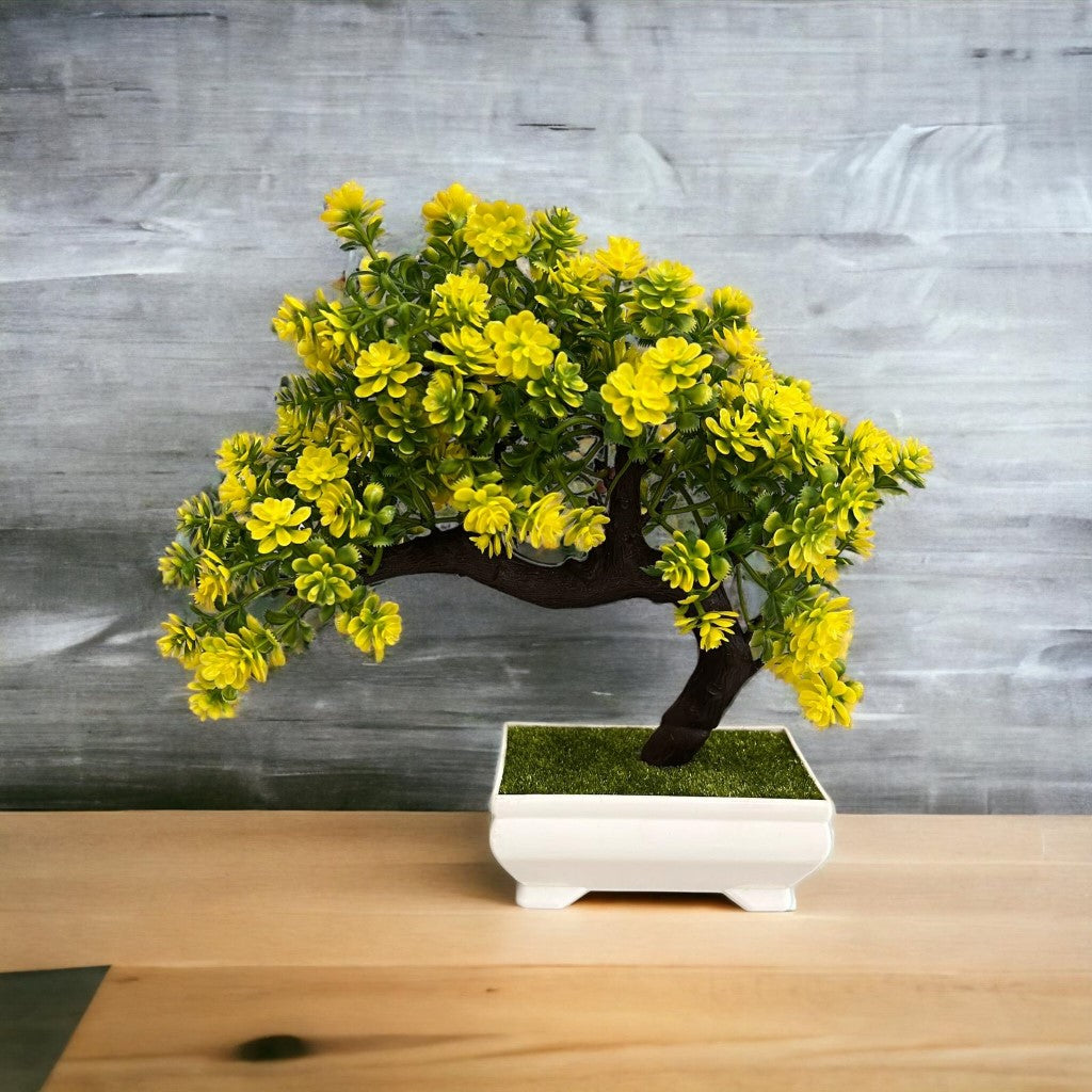Bonsai Tree Kit Nifsel Bonsai Growing Kit Complete Starter Kit 5