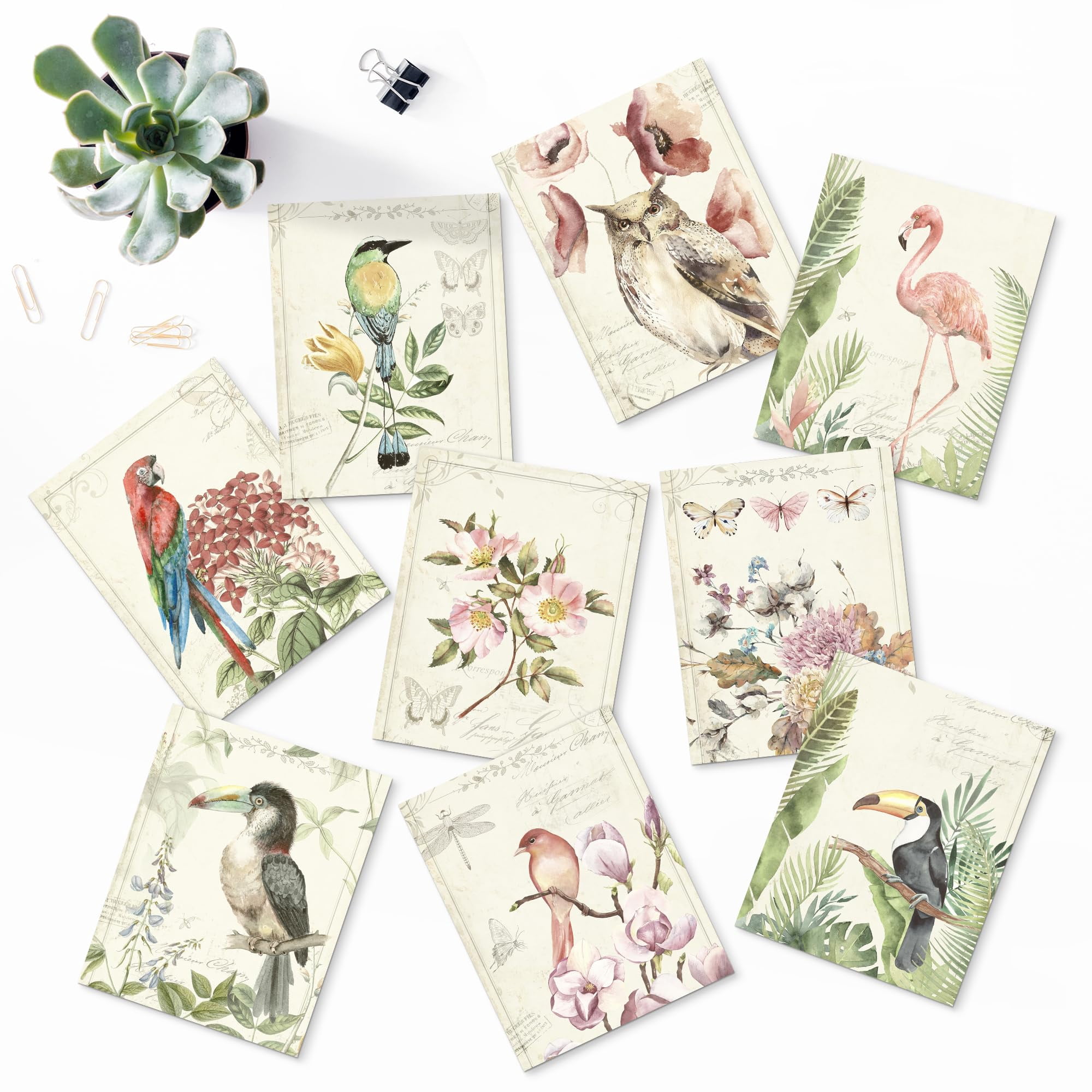 PixonSign Adhesive Canvas Print Wall Art Set - Vintage Avian Elegance ...