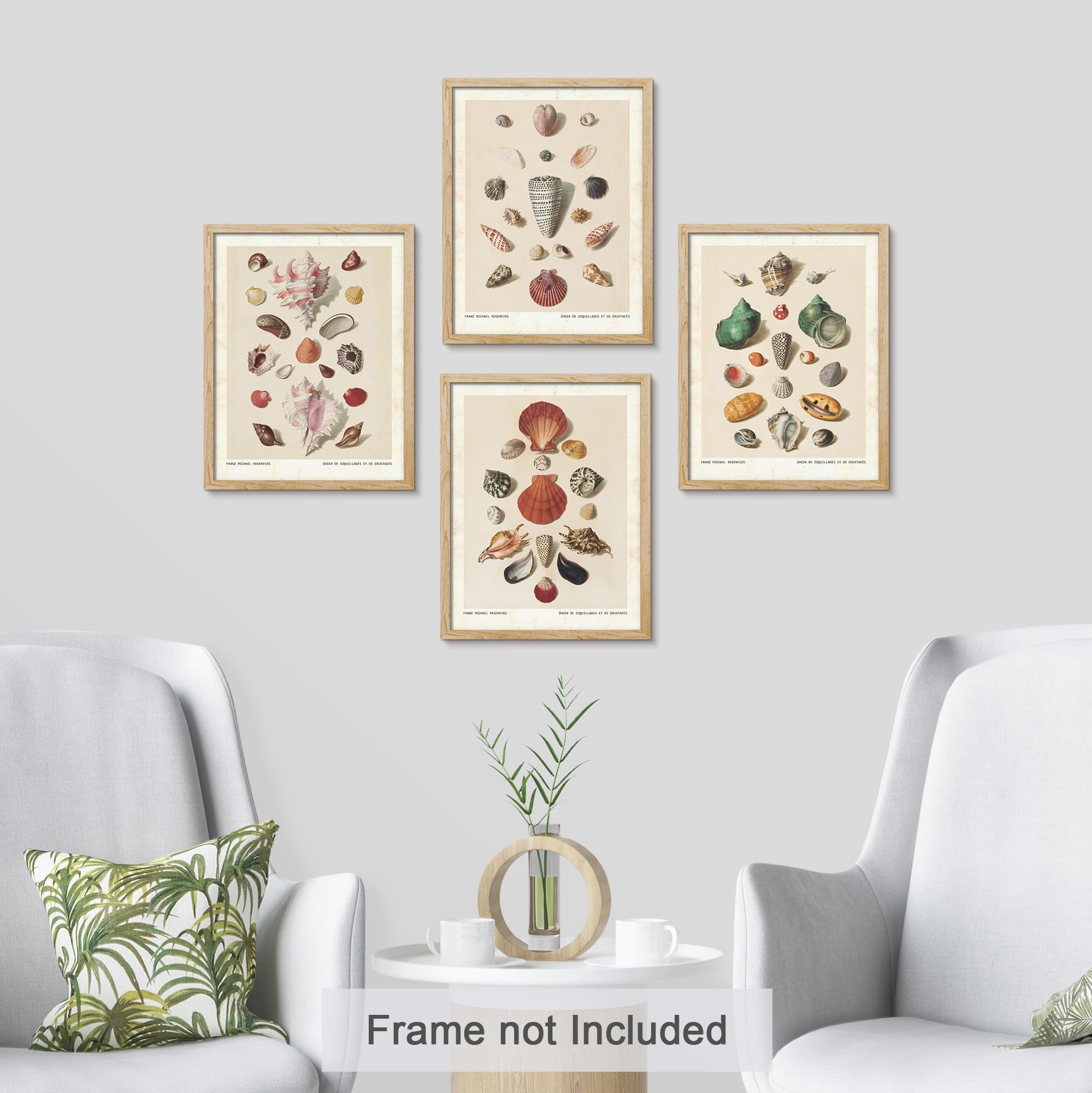 PixonSign Adhesive Wall Art Old-World Shell Collection Maritime Themed ...