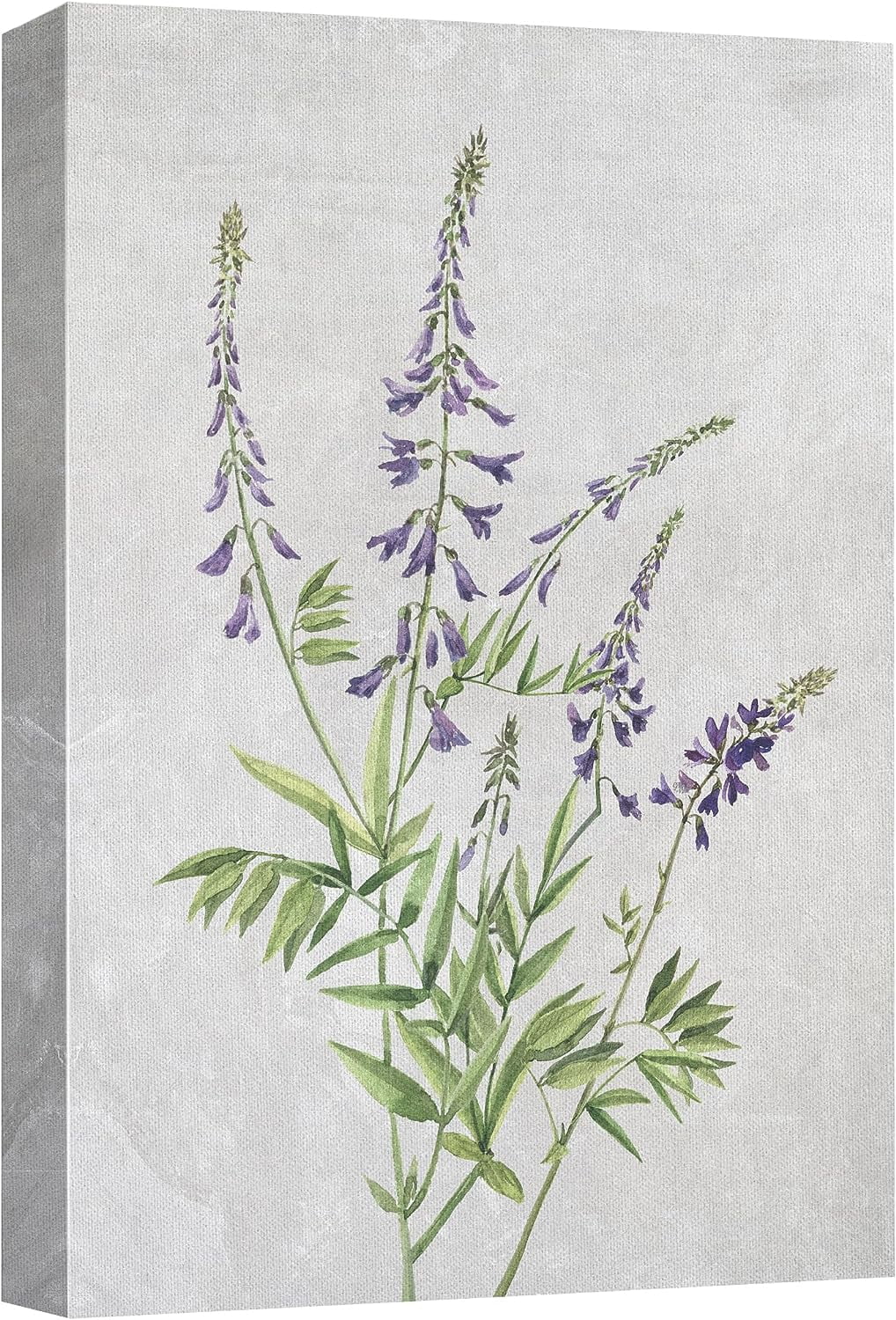 PixonSign Canvas Print Wall Art Purple Gray Lavender Flower Still Life ...