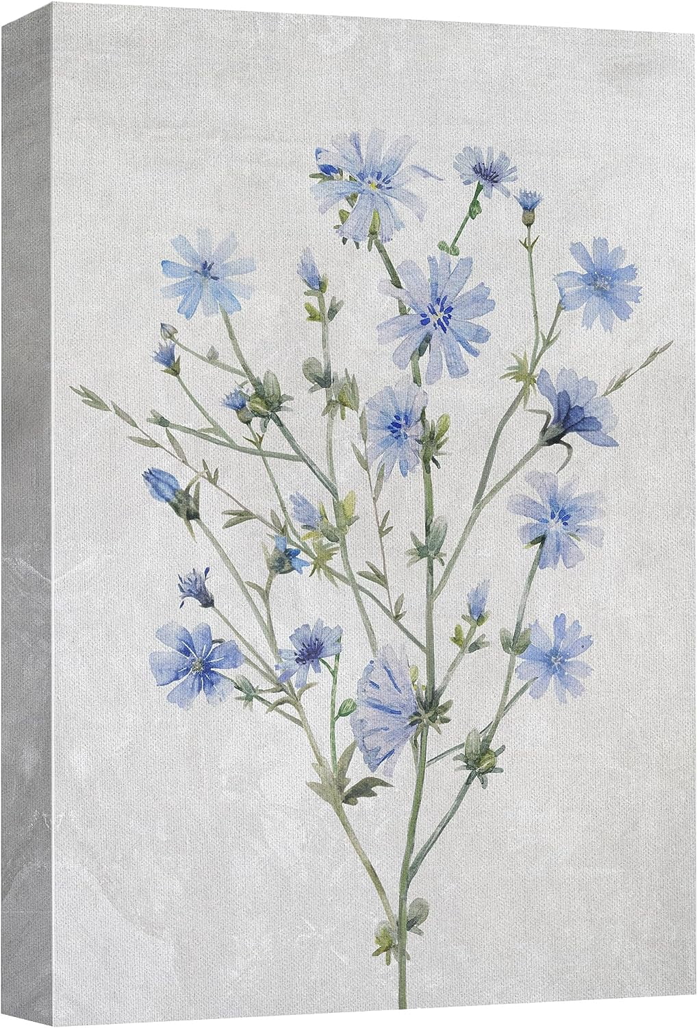 PixonSign Canvas Print Wall Art Watercolor Blue Cornflower Wildflower ...