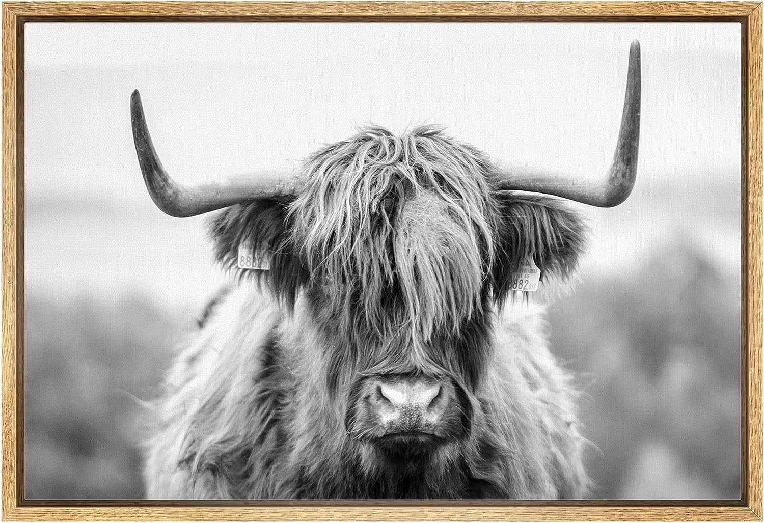 PixonSign Framed Canvas Print Wall Art Black & White Shetland Cow ...