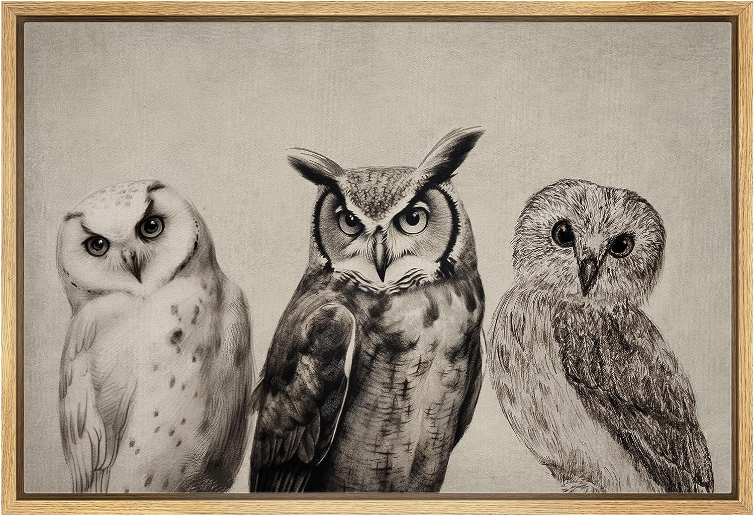 PixonSign Framed Canvas Print Wall Art Duotone Owl Portraits Vintage ...
