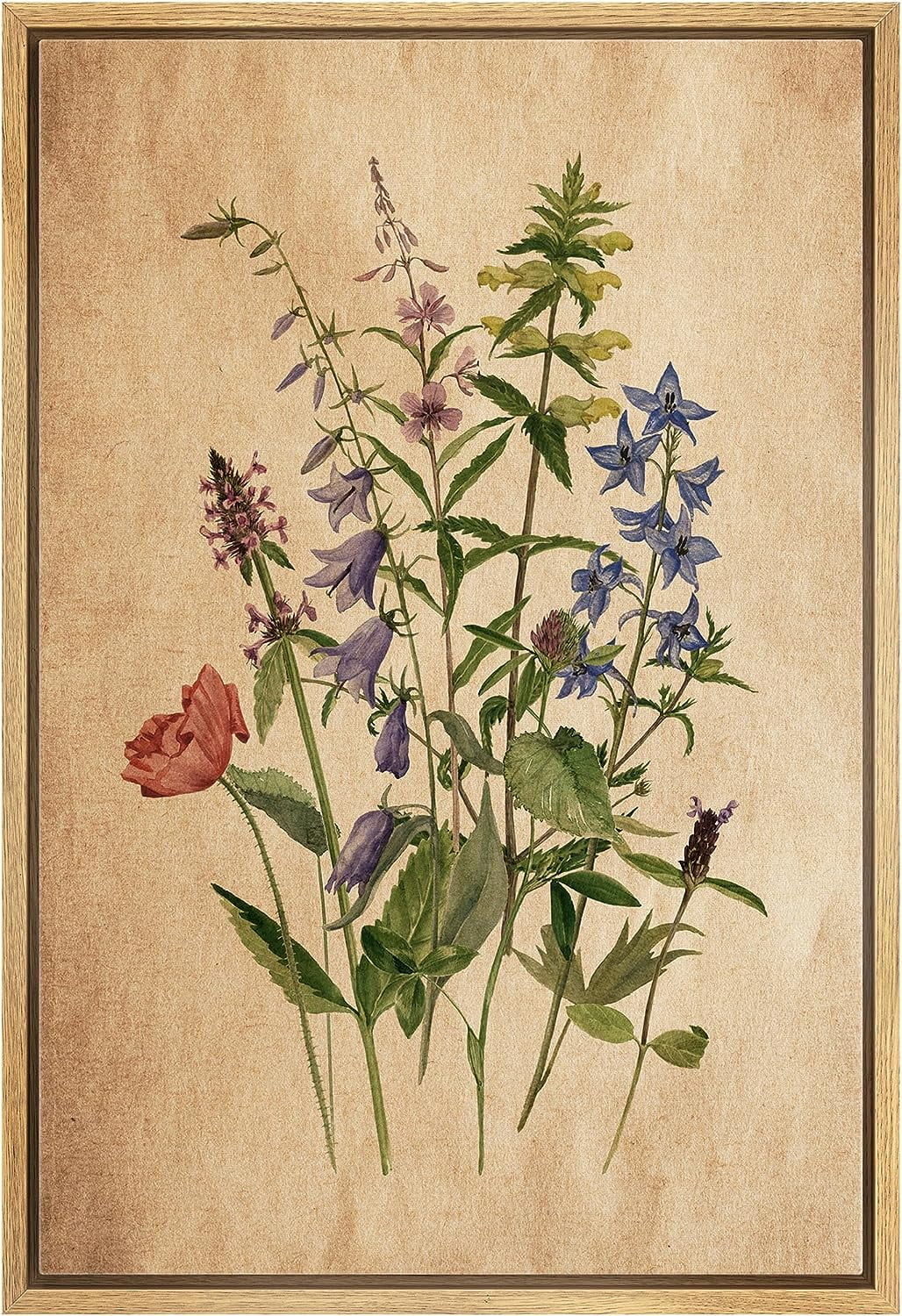PixonSign Framed Canvas Print Wall Art Retro Antique Wildflower Still ...