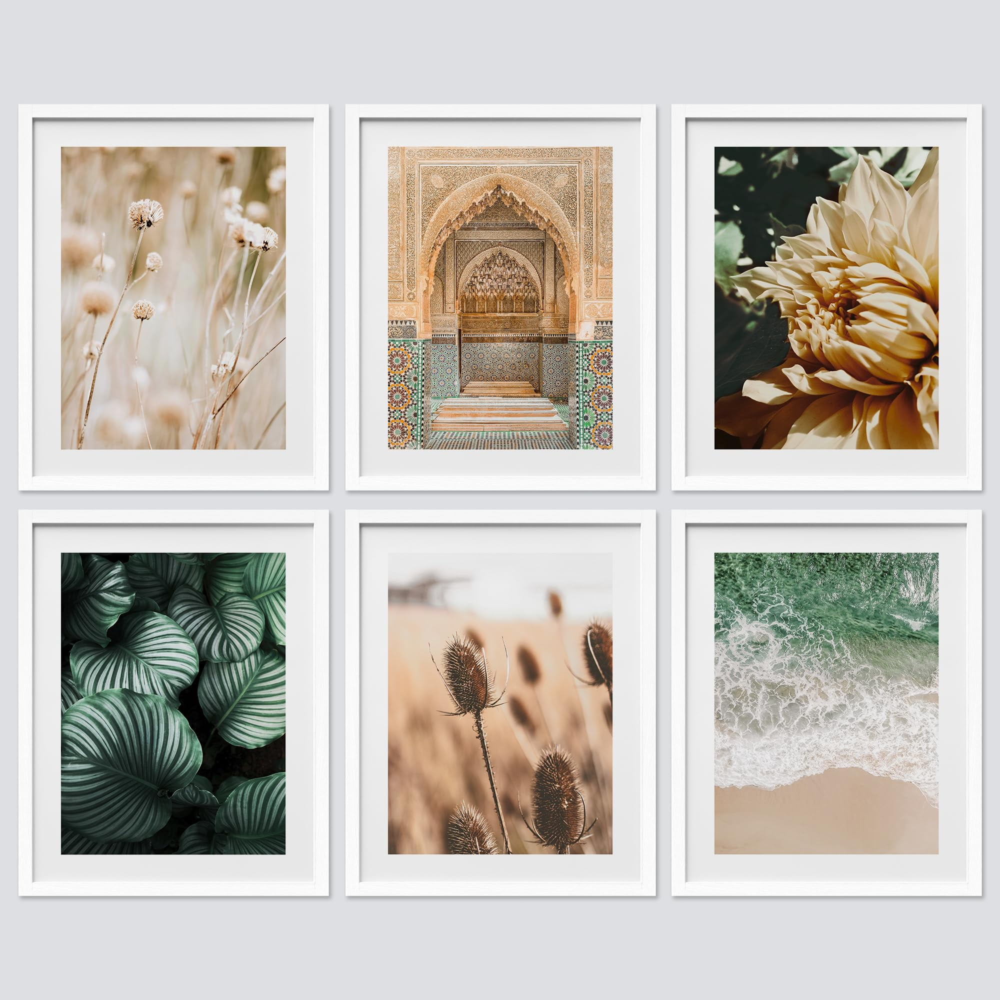 PixonSign Framed Canvas Print Wall Art Set - Varieties Plant Leaves ...