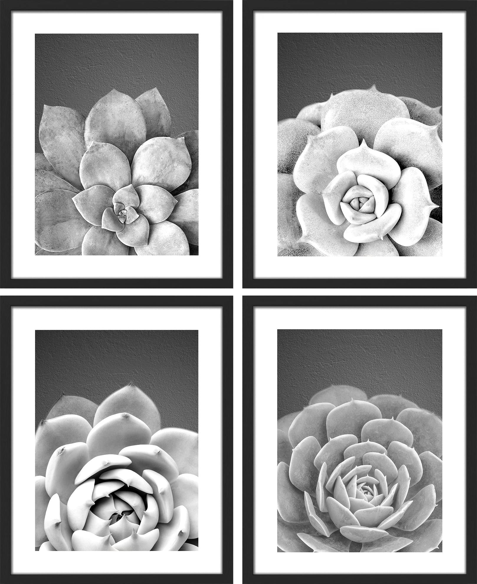 PixonSign Framed Wall Art Grayscale Southwest Succulent Cactus Posters ...