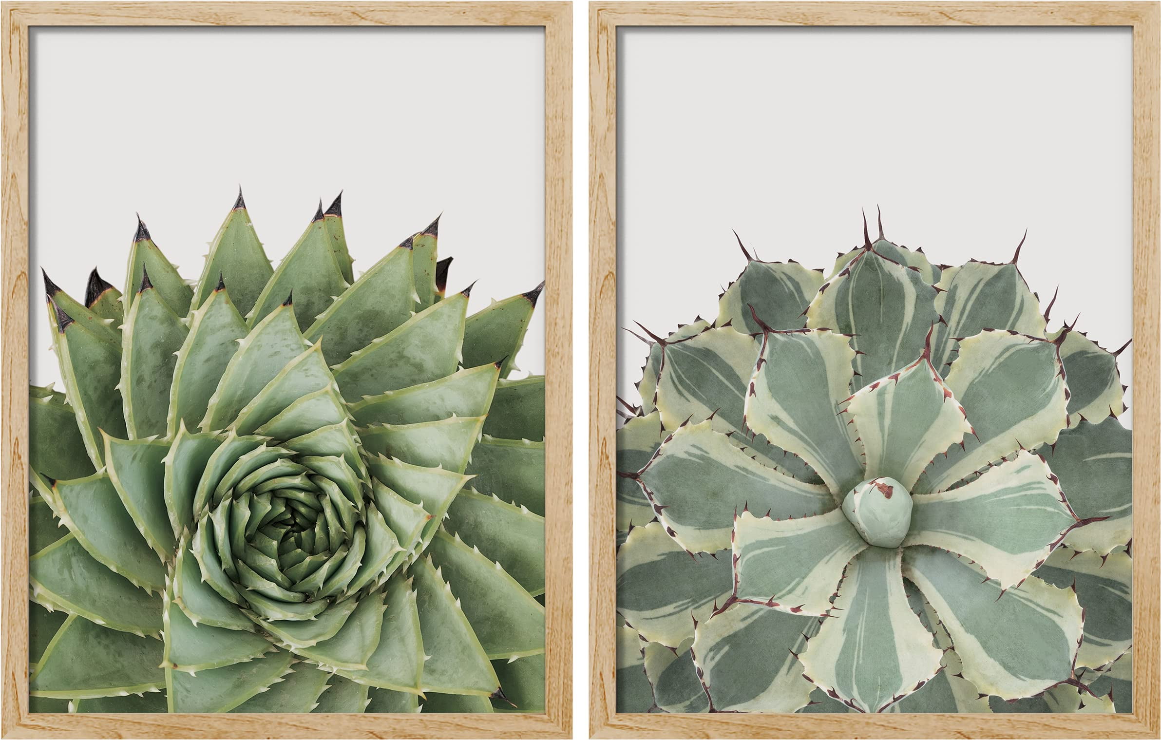 PixonSign Framed Wall Art Prickly Green Cactus Posters, Set of 2 ...