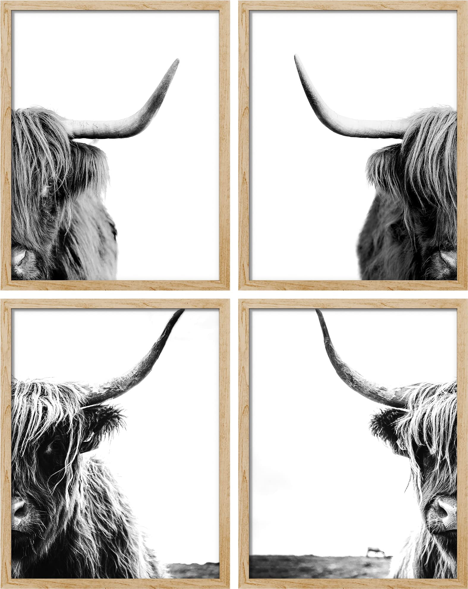 PixonSign Framed Wall Art Shetland Farm Cow Portraits Prints Western ...