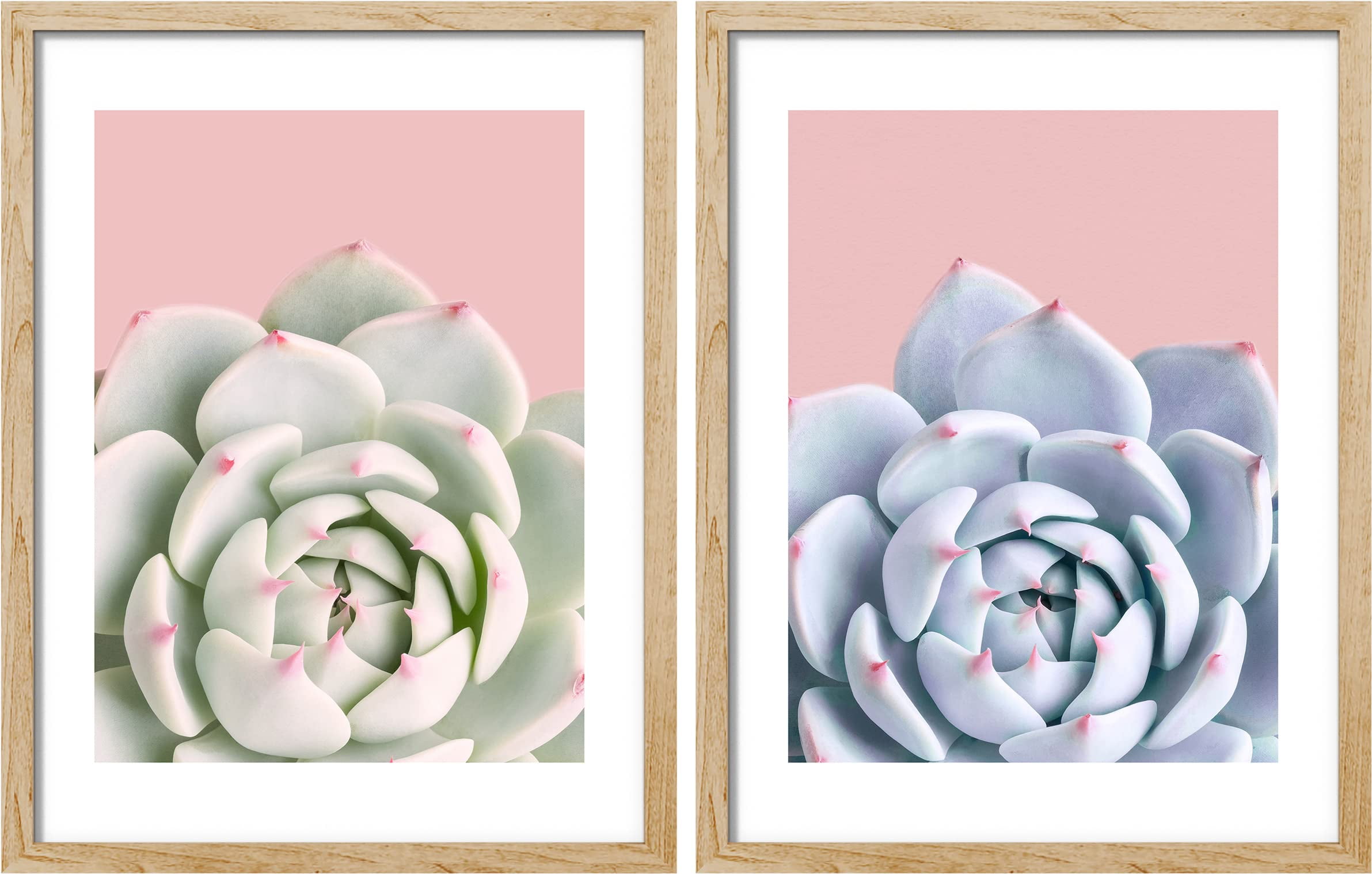 PixonSign Framed Wall Art Southwest Cactus Succulent Posters, Set of 2 ...