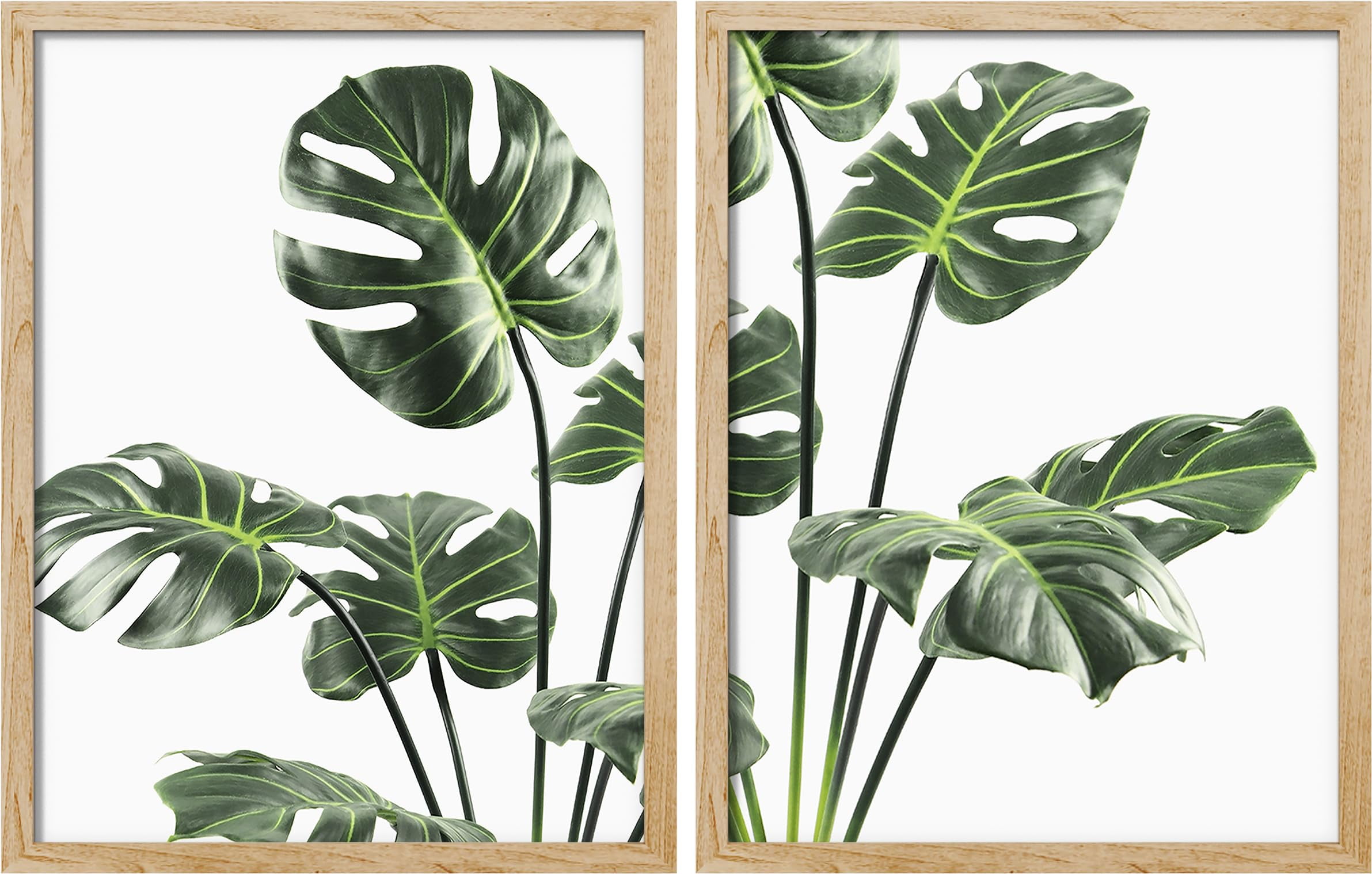 PixonSign Framed Wall Art Tropical Palm Monstera Jungle Plants Posters ...