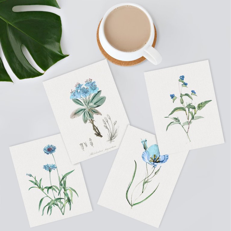 cornflower prints