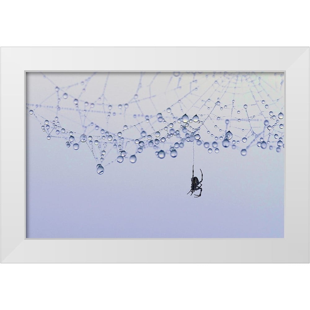 Pizzocaro, Giorgio 24x17 White Modern Wood Framed Museum Art Print ...