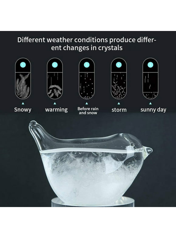 Barometers in Weather Stations - Walmart.com