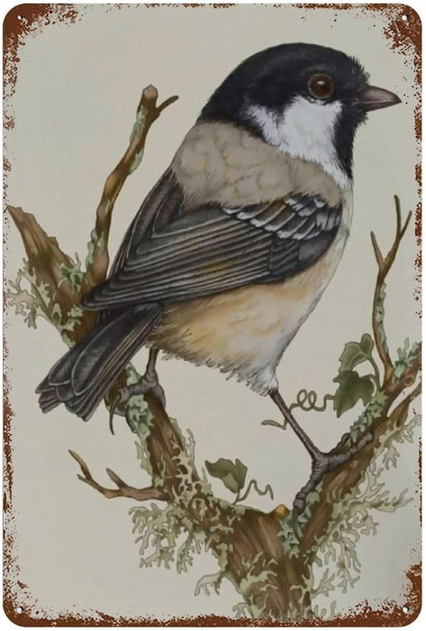 Placards Of Metal Chickadee Bird Vintage Retro Tin Metal Sign Plaque ...