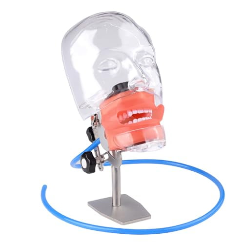 Place on Table ﻿Style Simple Head Model Dental Simulator Manikin ...