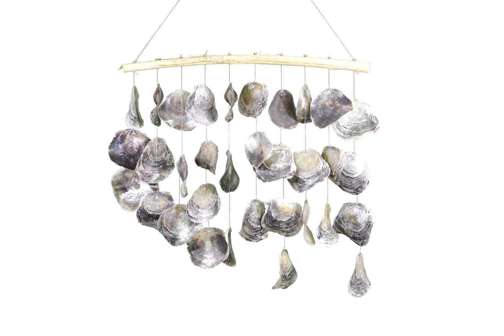 Placuna Decorative Shell Window Curtain 24 x33", Placuna Seashells ...