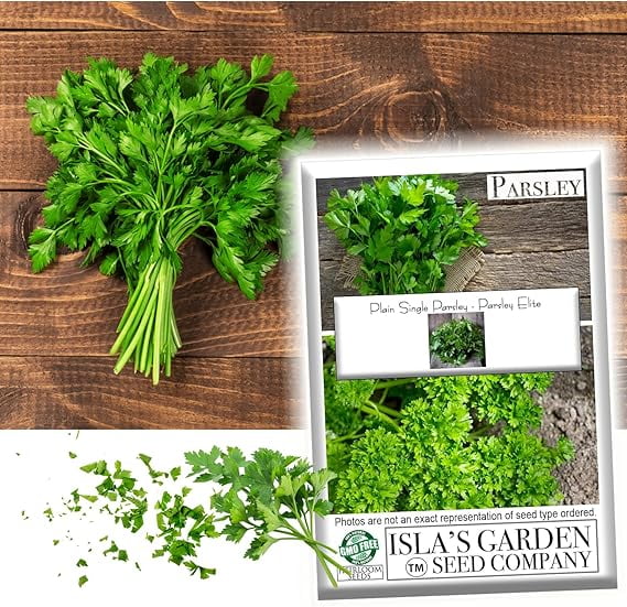 Plain Parsley Seeds for Planting "Parsley Elite", 250+ Heirloom Seeds ...