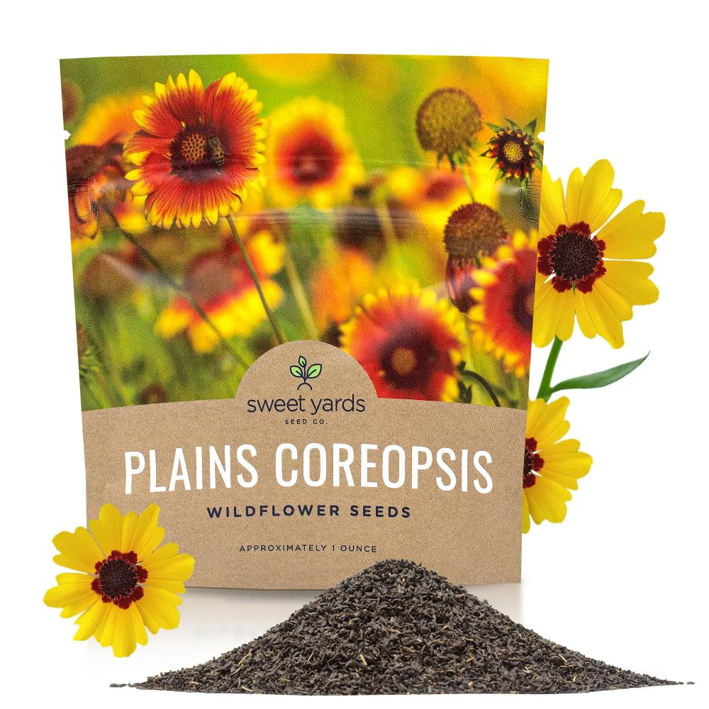 Plains Coreopsis Seeds - Native Flowers MVR1 - Extra Large Packet ...