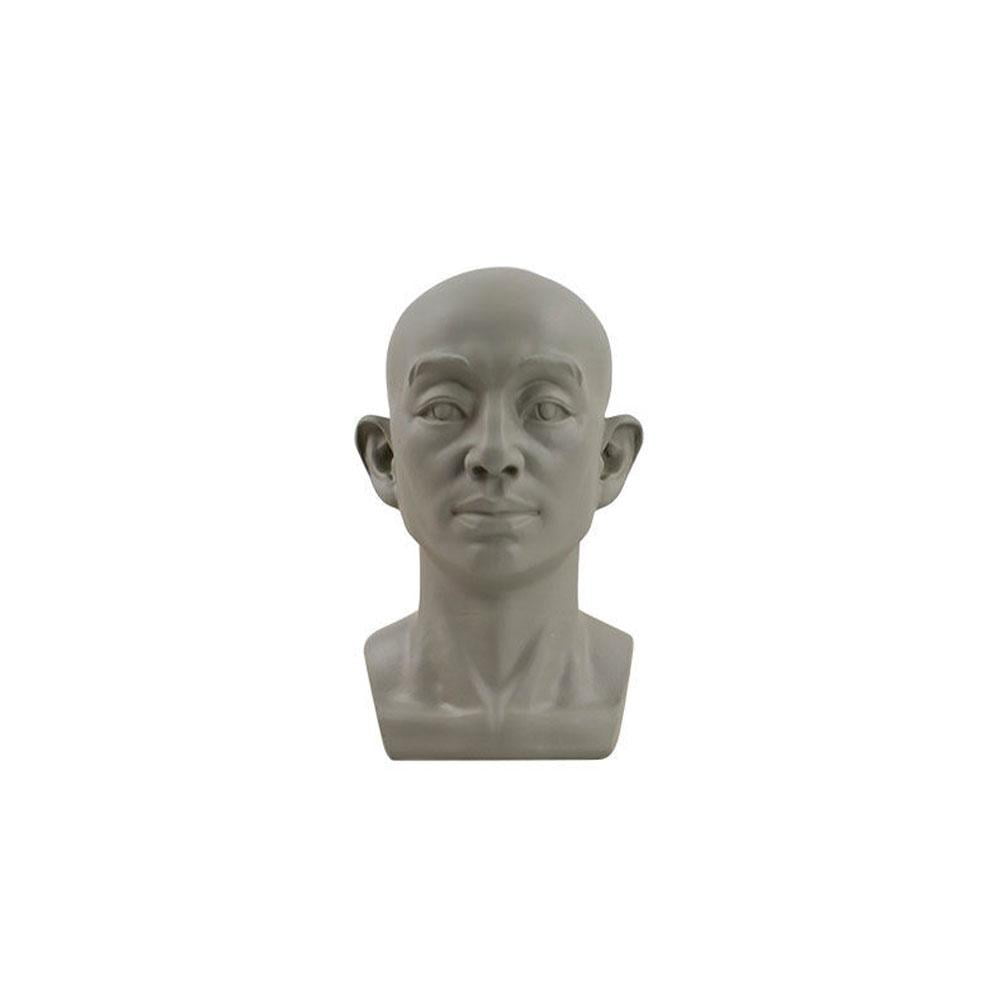 Planar Head Model For Artists Learn Planes of Face Head Z5Y7 X1 Human ...