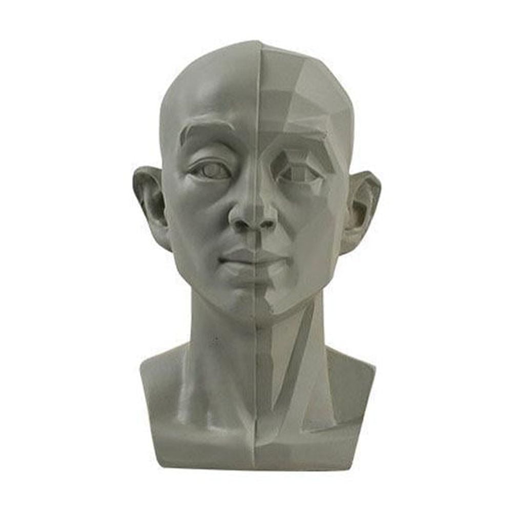 Planar Head Model For Artists Learn Planes of Face Head Z5Y7 X1 Human ...