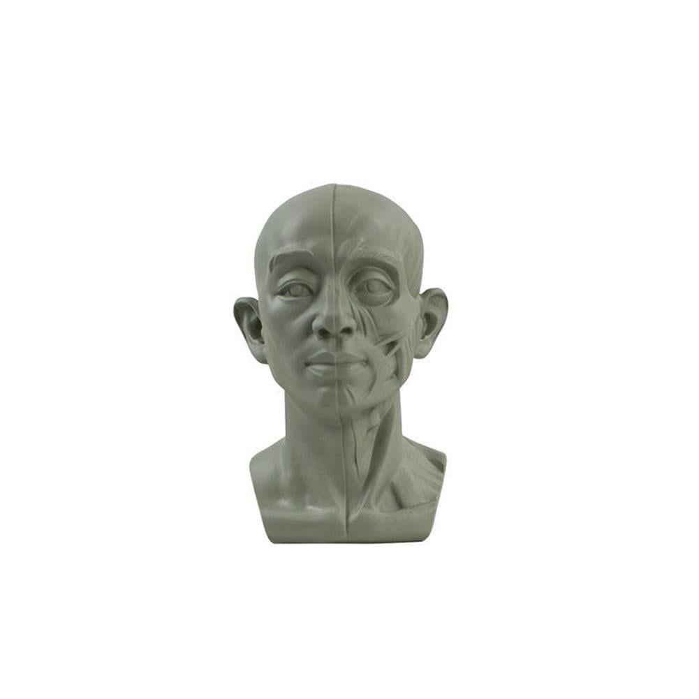 Planar Head Model For Artists Learn Planes of Face Head Z5Y7 X1 Human ...