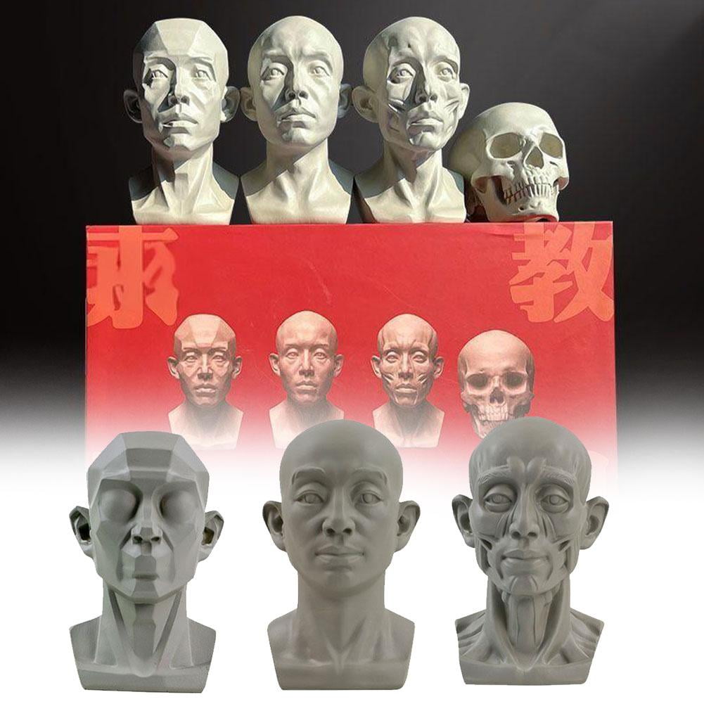 Planar Head Model For Artists Learn Planes of Face Human Head Model GT ...