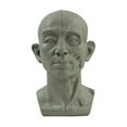 Planar Head Model For Artists Learn Planes of Face Human Head Model ...
