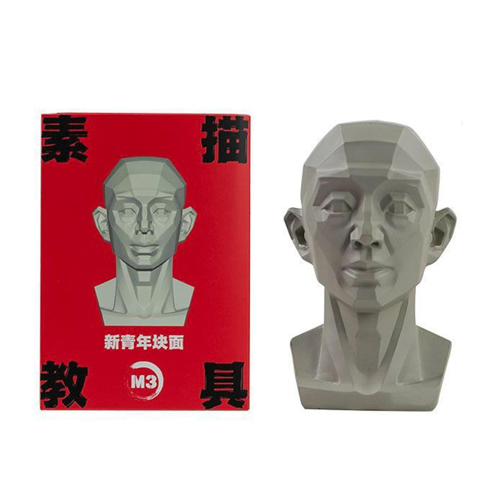 Planar Head Models For Artists Learn Planes of Face, Human Head Models ...