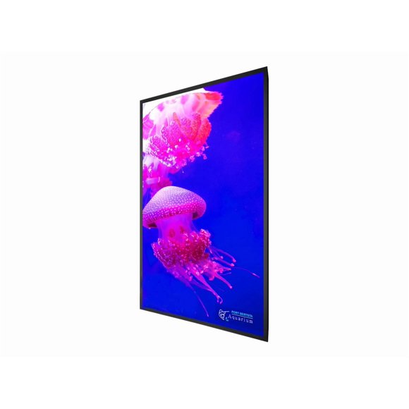 Planar Shop All Monitors - Premium Display Solutions for Businesses ...
