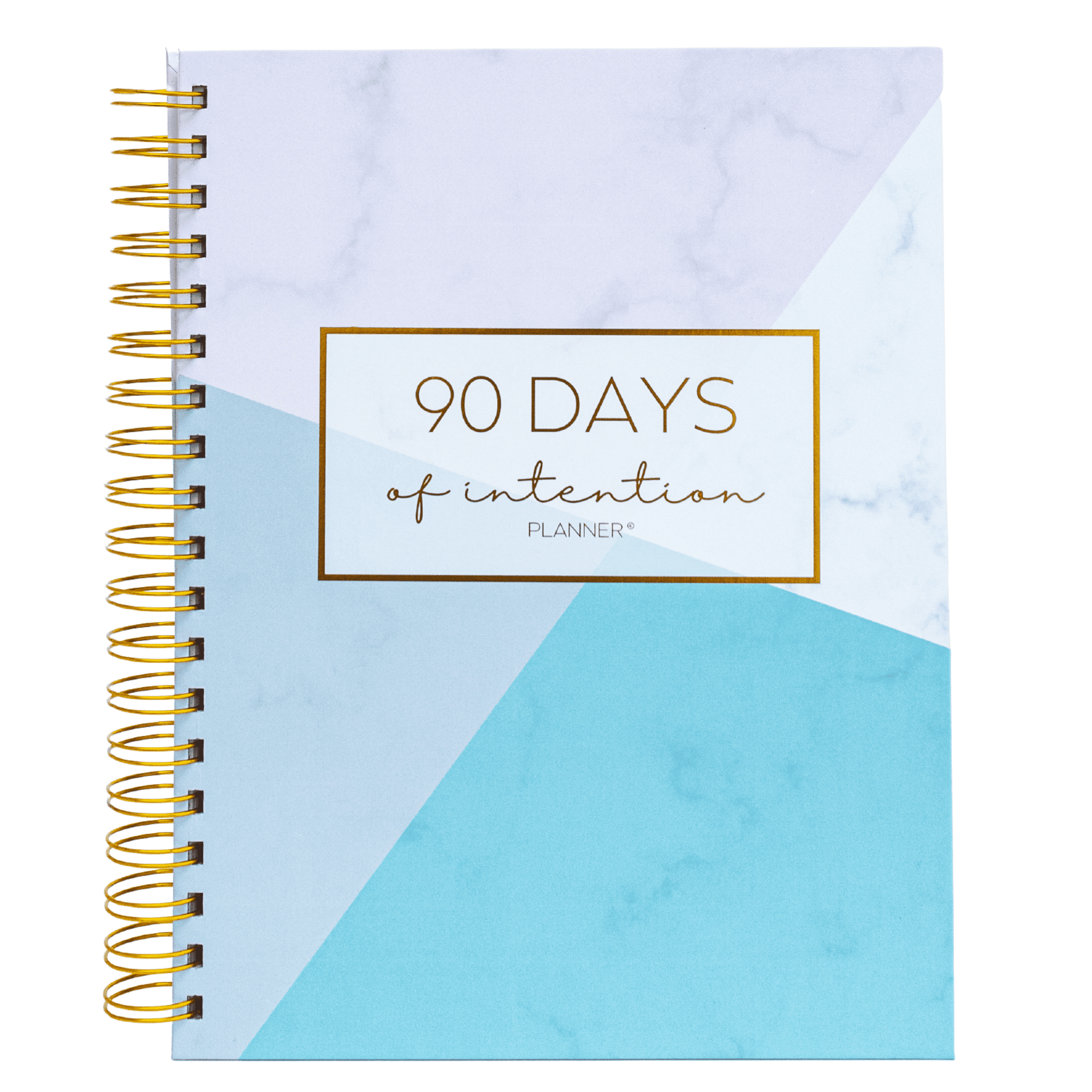 Pland Studio All-In-One 90 Day Goal Planner, Quarterly Planner, Guided ...