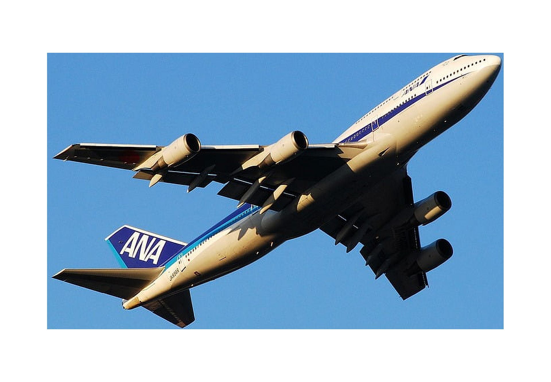 Plane Ana Boeing 747 Aircraft All Nippon Airways - Laminated Poster ...