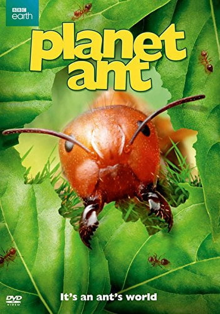 Planet Ant (DVD) [DVD] - Walmart.com