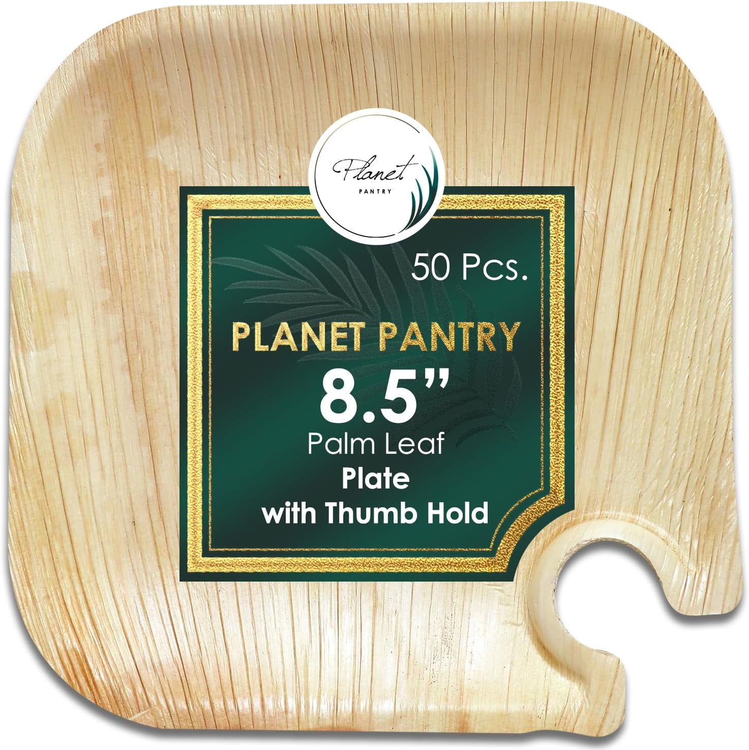 Planet Pantry Disposable Palm Leaf 8.5" Square Plates with Thumb hold ...