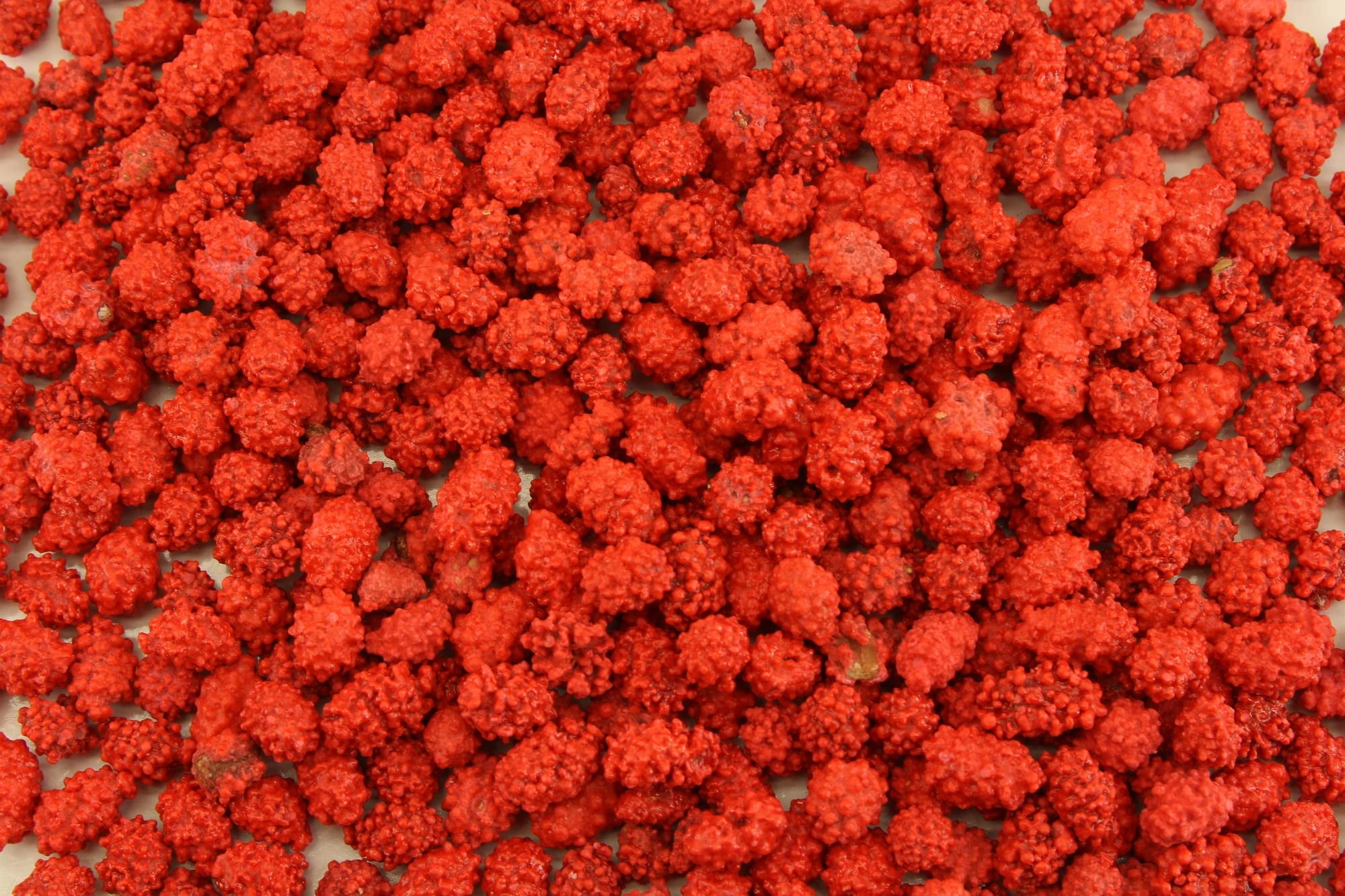 Planet Sweets French Burnt TGF4 Peanuts Red Candy Coated Snack - 8 ...