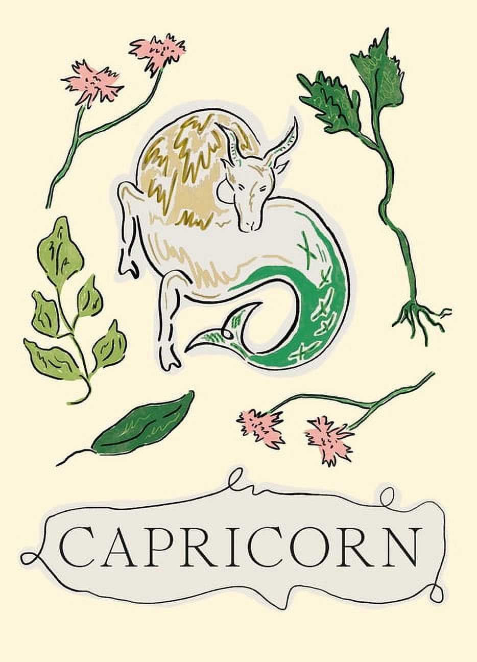 Planet Zodiac Capricorn, Book 4, (Hardcover) - Walmart.com